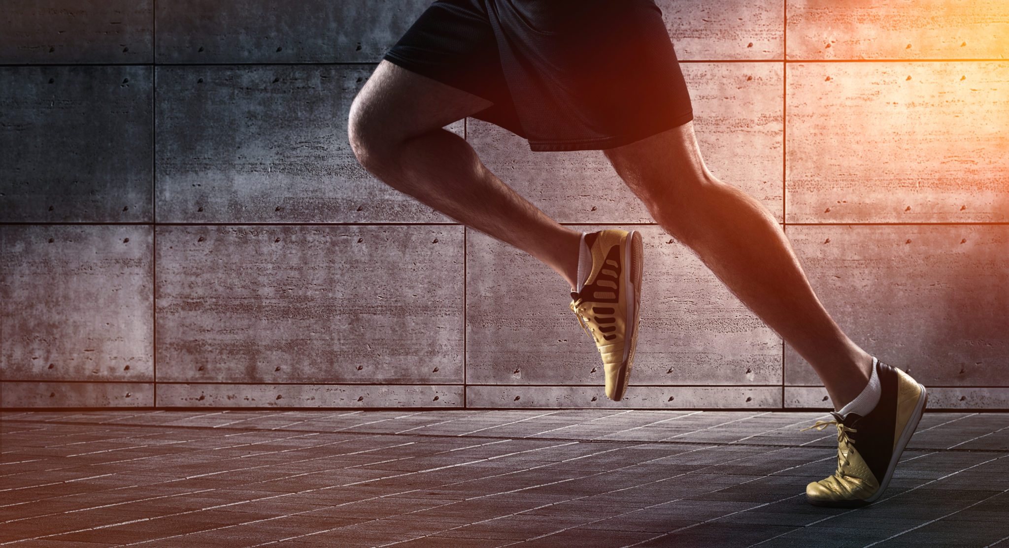 Athlete Performance Camp - Elite Personal Fitness